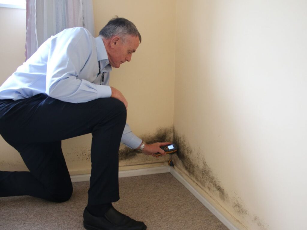 Damp and mould - Selwood Housing - Affordable Homes